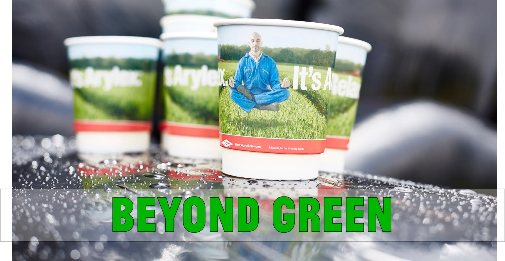 Beyond Green - Biodegradable Paper Cups